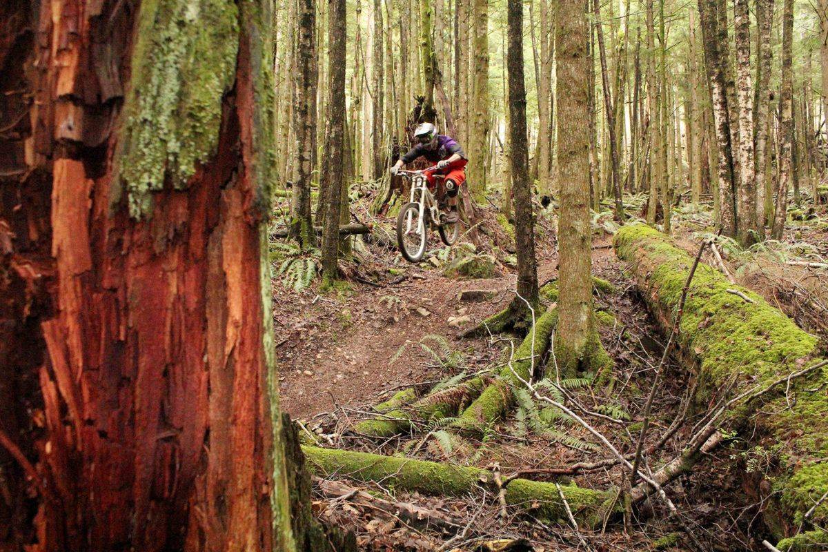 Electric bikes OK on B.C. mountain trails | Barriere North Thompson Star