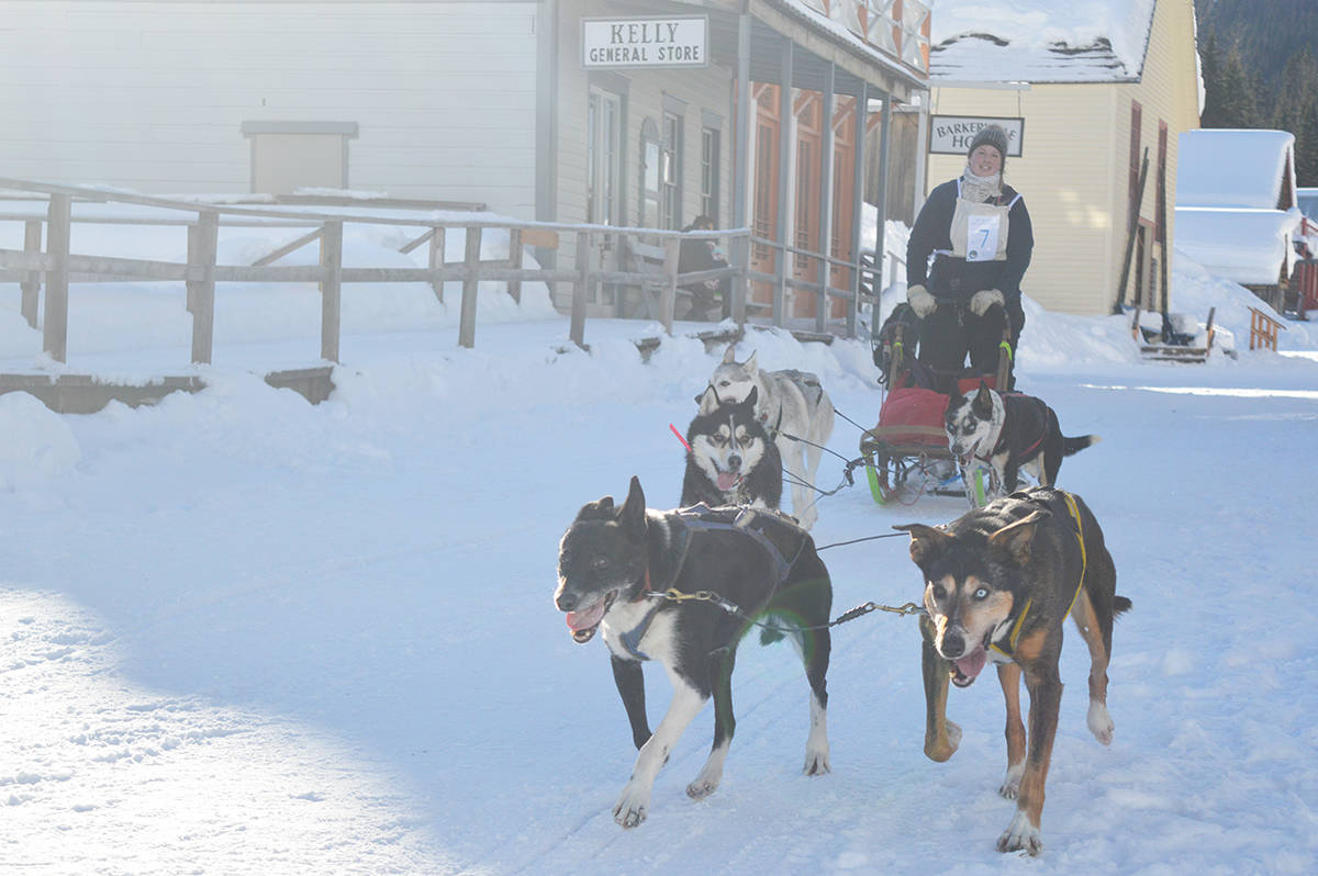 Envelope sales for Gold Rush Trail Sled Dog Mail Run begins | Barriere ...