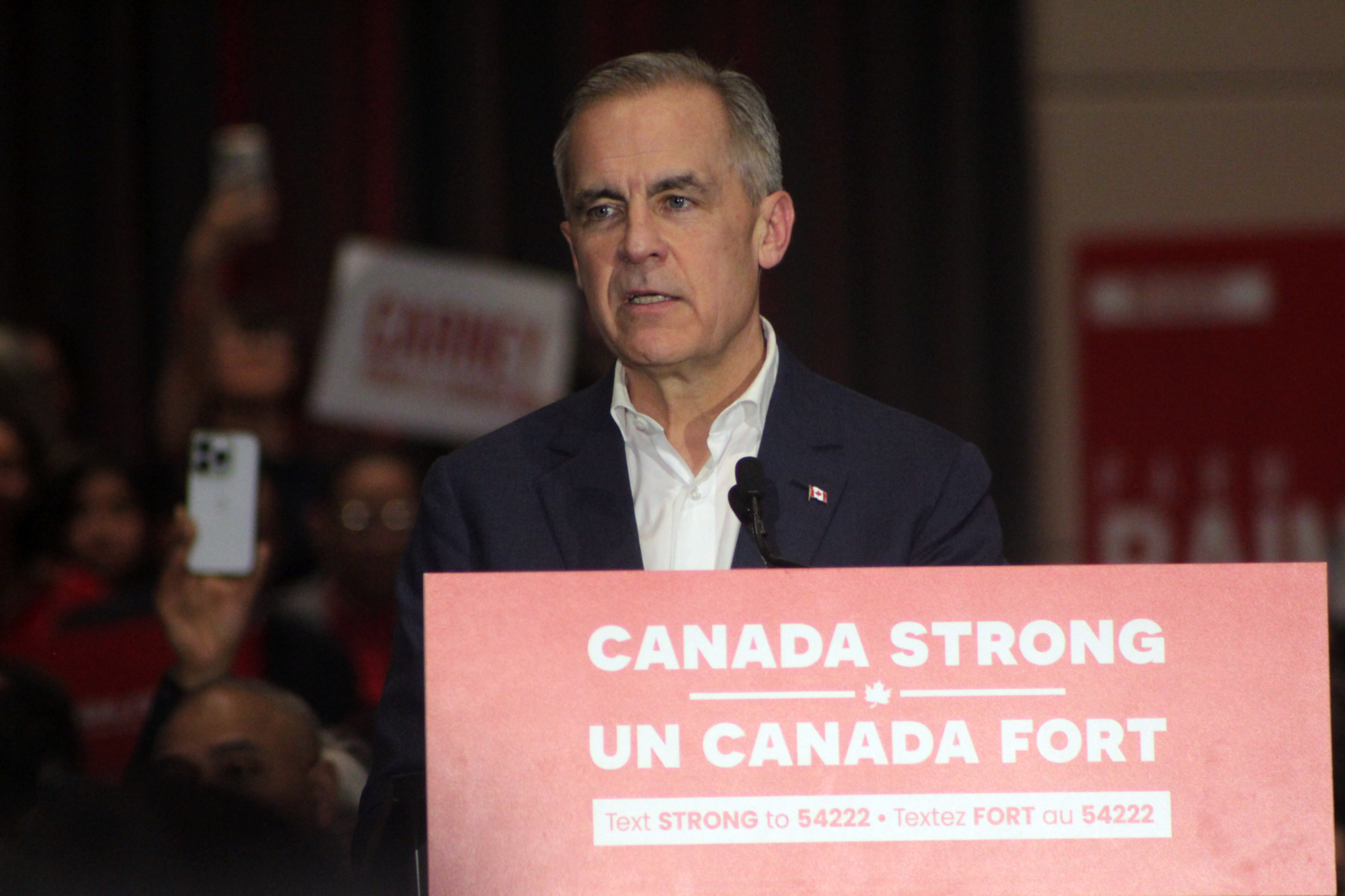 Carney targeted on Chinese app, election not affected: Task force ...